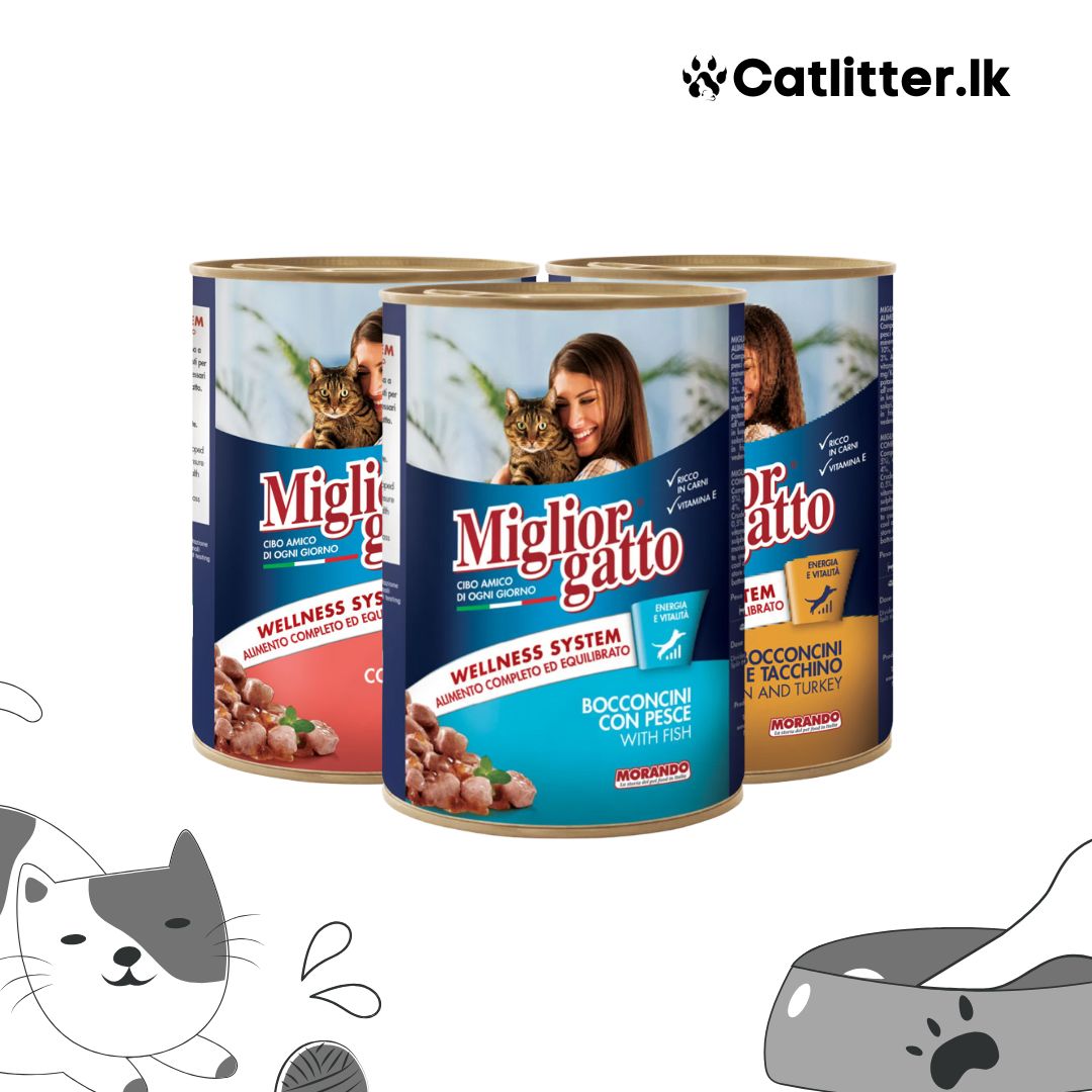Morando Miglior Gatto Special Menu Chunk Cat Wet Food Tin