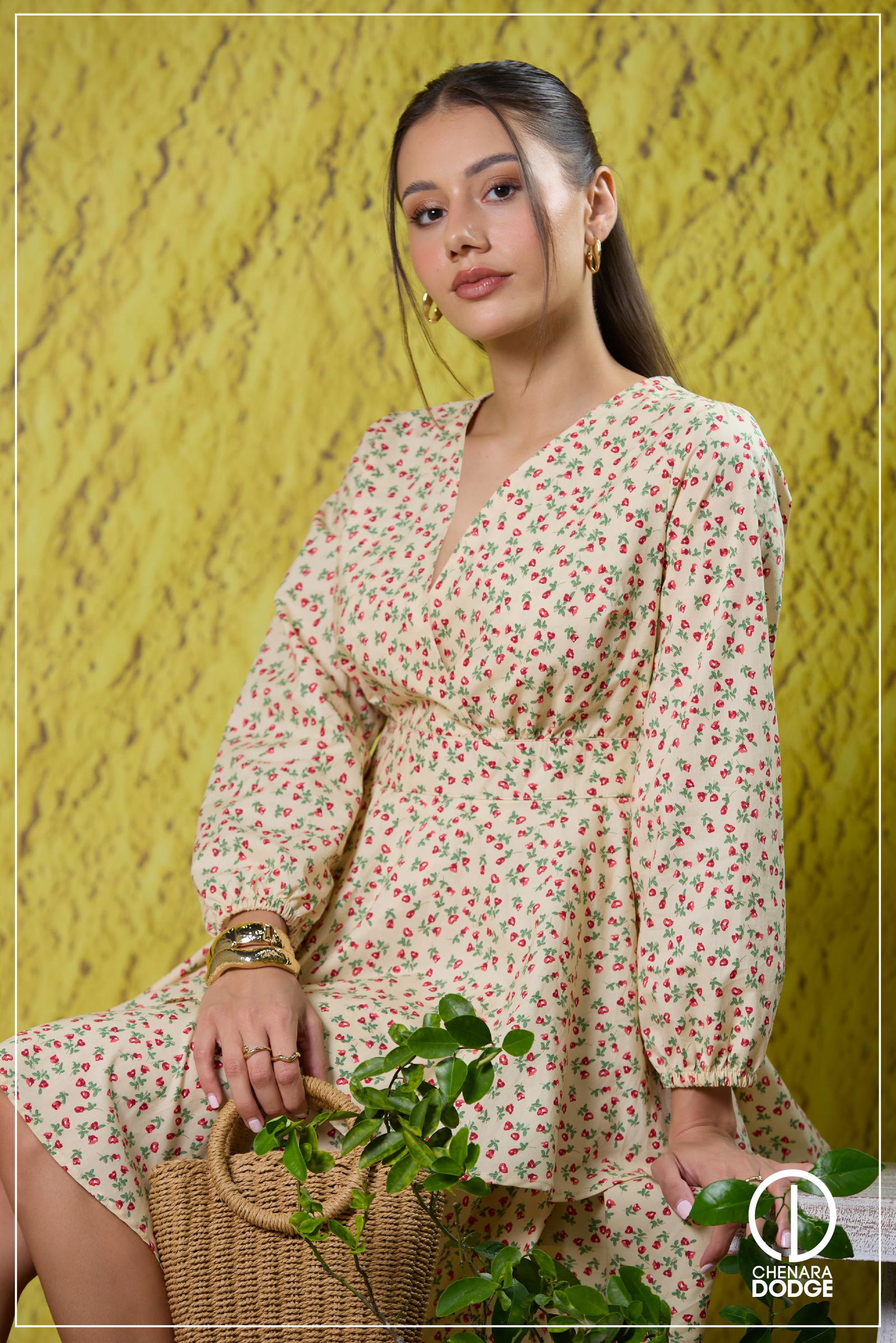 DAISY V-NECK MINI DRESS